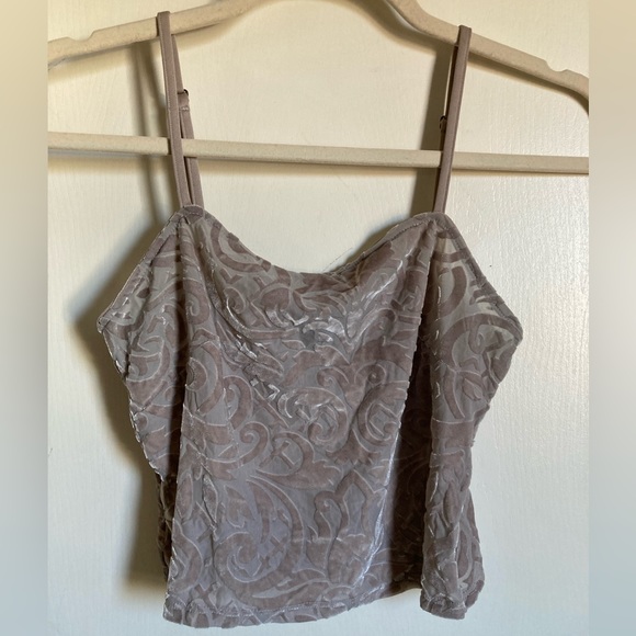 Forever 21 | Tops | Forever 2 Tan Taupe Velvet Embossed Paisley Cropped ...
